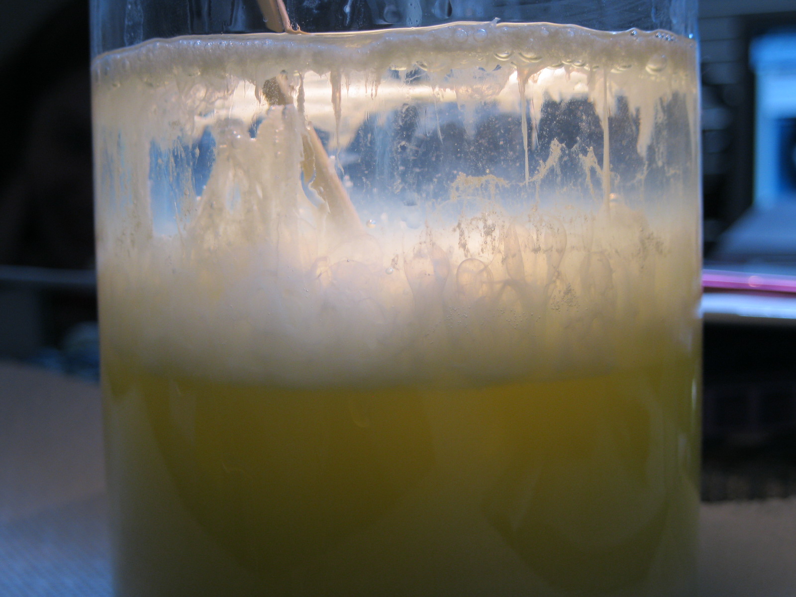 Apologia Biology: Module 7 Experiments | Mindful Ramblings